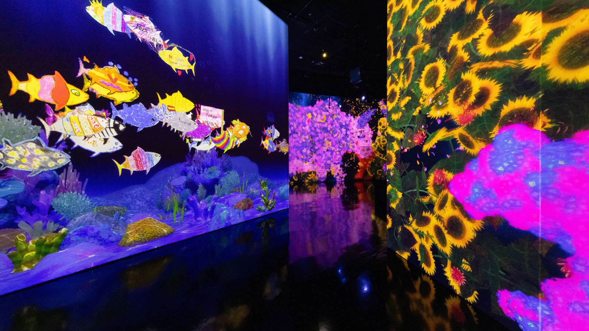 Digital Light Canvas | Attractions in Singapore | Marina Bay Sands
