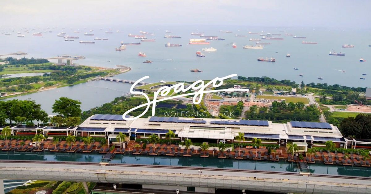 Spago Bar & Lounge | Restaurant in Singapore | Marina Bay Sands