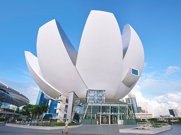 ArtScience Friends | Membership Programme | ArtScience Museum