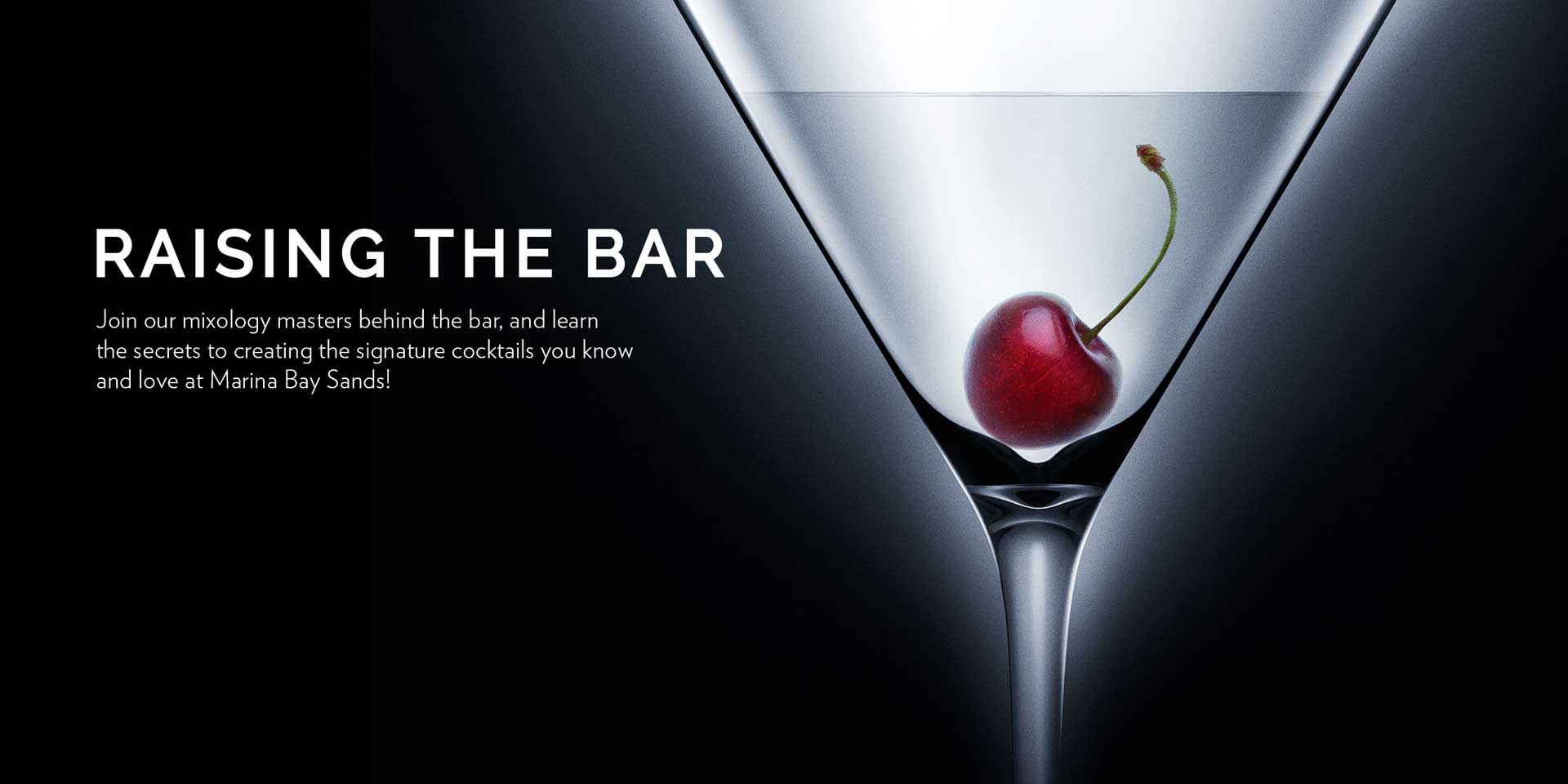 Marina Bay Sands - Singapore Hotel with Infinity Pool and SkyPark